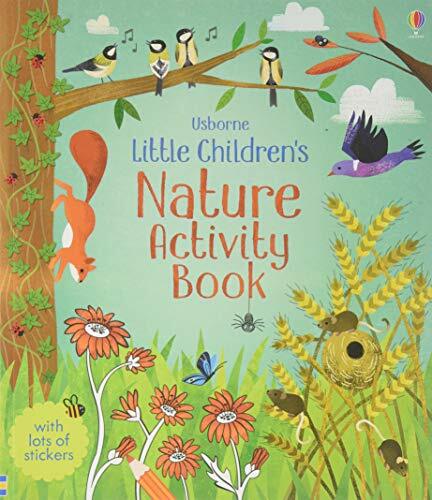 Little Children’S Nature Activity Book - Imagination Toys