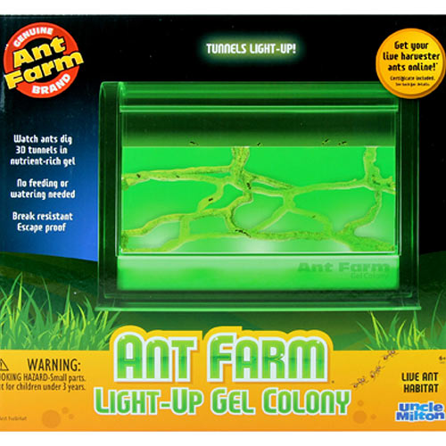 Uncle Milton Gel Ant Farm